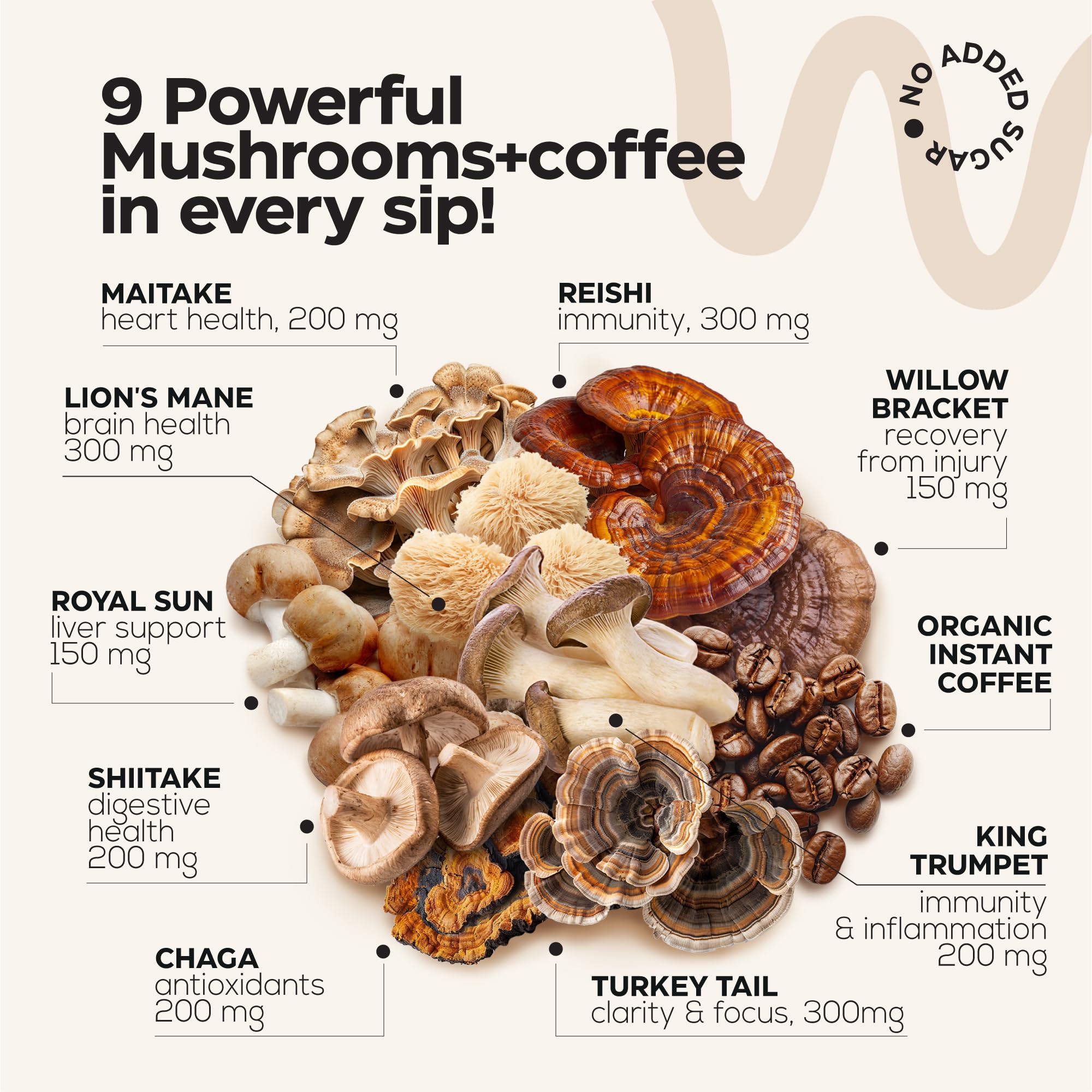 enhanced mushroom coffee for wellness