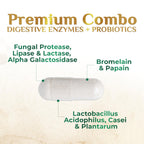 enhanced nutrient absorption digestive enzymes