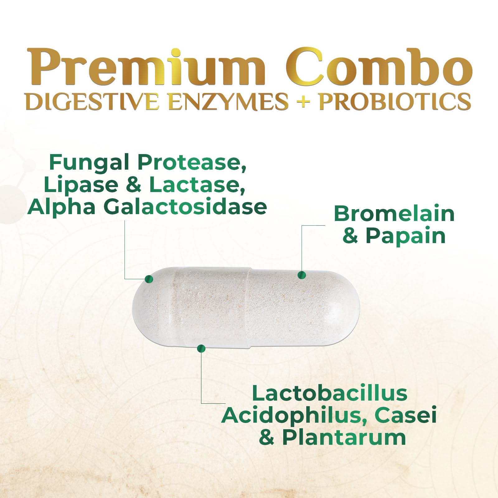 enhanced nutrient absorption digestive enzymes