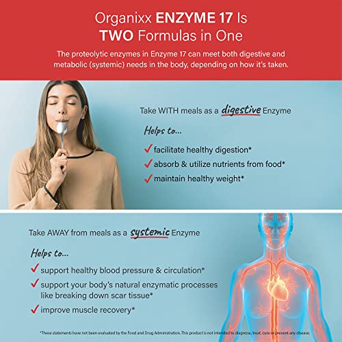 enhanced nutrient absorption digestive enzymes