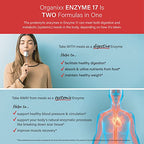 enhanced nutrient absorption digestive enzymes