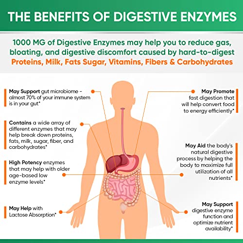 enhanced nutrient absorption digestive enzymes