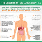 enhanced nutrient absorption digestive enzymes