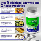 enhanced nutrient absorption enzymes