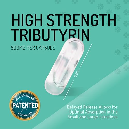 enhanced nutrient absorption with Healus