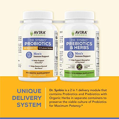 enhanced nutrient absorption with probiotics