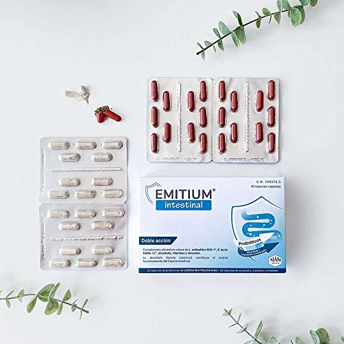 enhanced nutrient absorption with probiotics