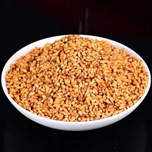 enhanced nutrition with Platycladi Seed