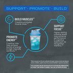 enhanced performance creatine powder