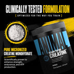 enhanced performance with creatine