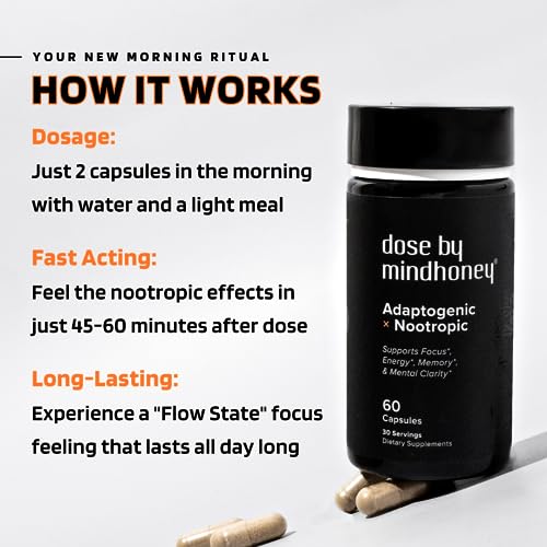 enhanced productivity with nootropic mushrooms