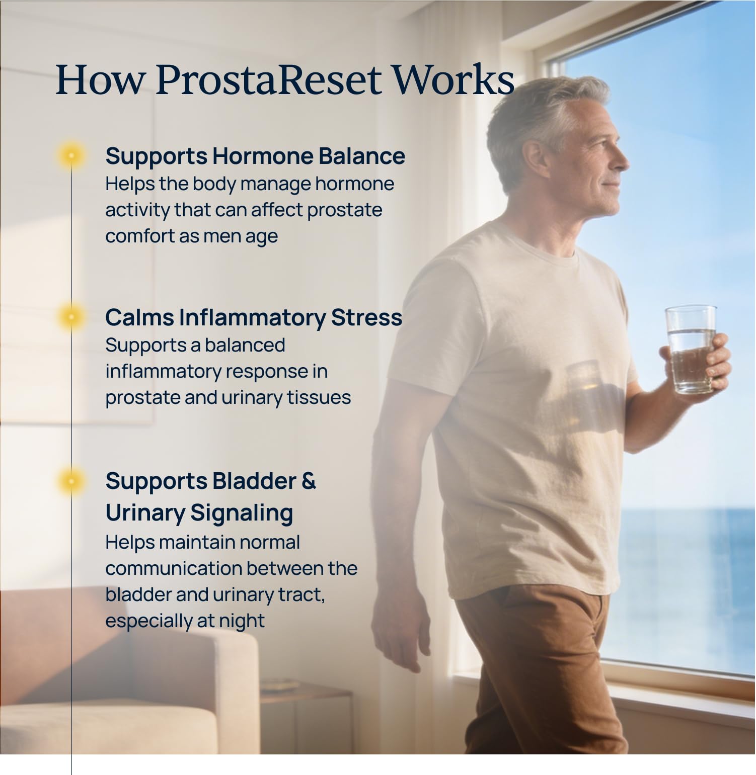 enhanced prostate function formula