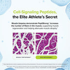enhanced recovery with collagen peptides