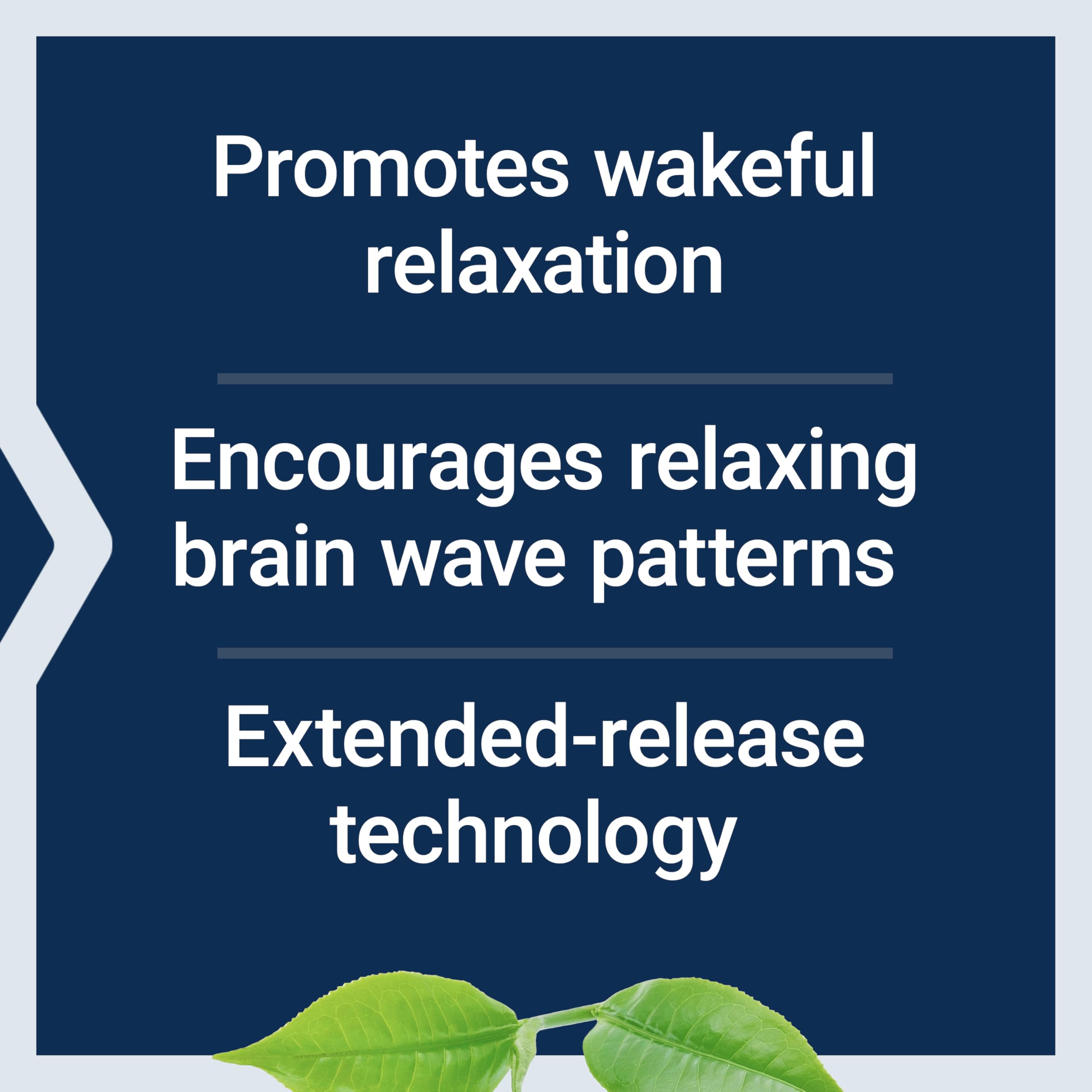 enhanced relaxation with Life Extension Theanine
