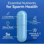 enhanced sperm health multivitamins