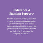 enhanced stamina with cordyceps