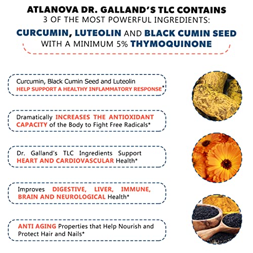 enhanced turmeric absorption formula