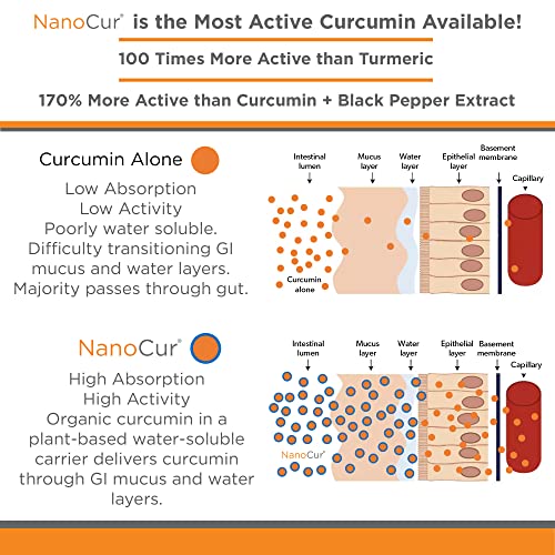 enhanced turmeric for better absorption