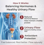 enhanced urinary function support