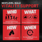 enhanced vitality with shilajit resin