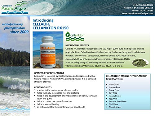 enhanced vitality with trace minerals