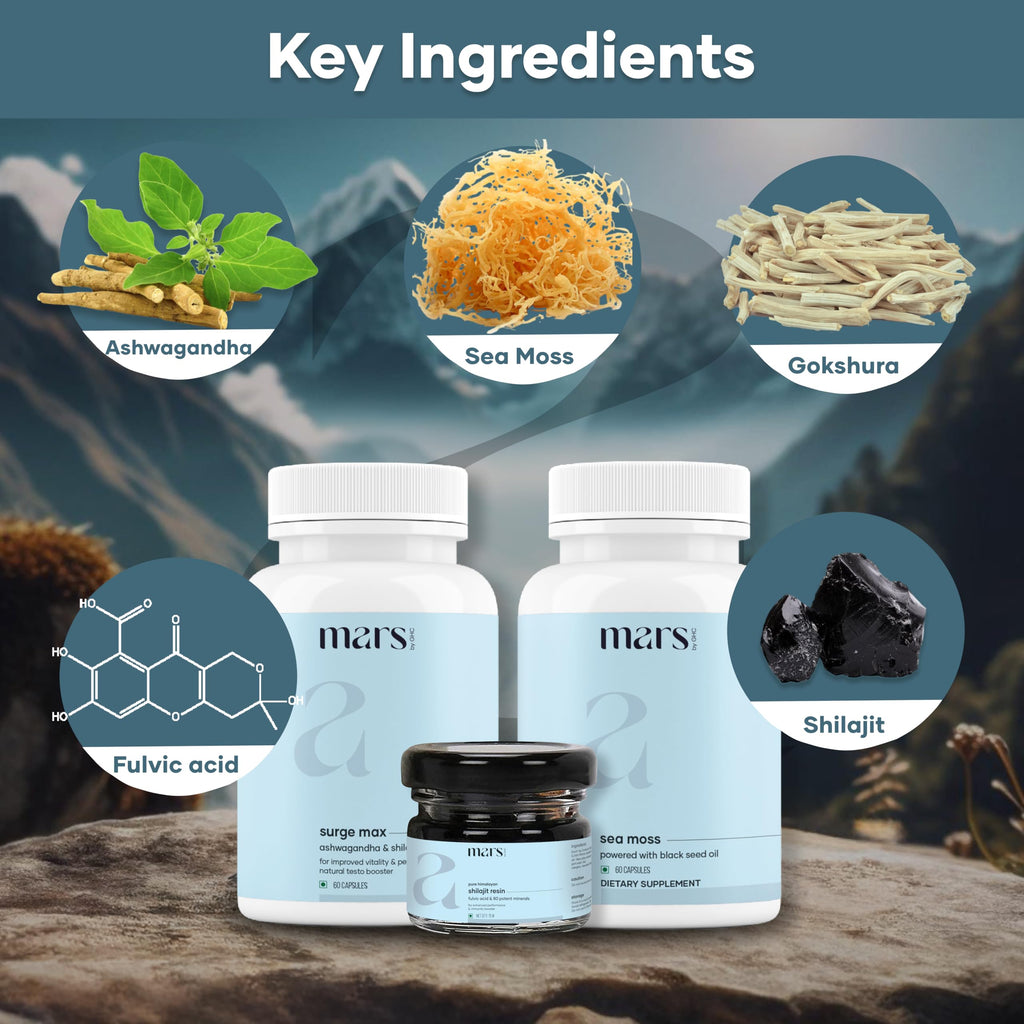 enhanced well-being with shilajit