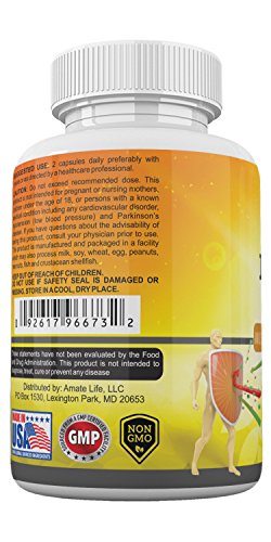 enhanced wellness with mushroom extract
