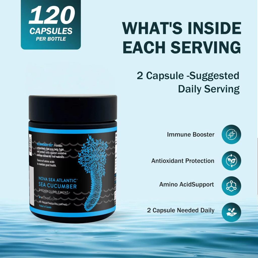 enhanced wellness with sea cucumber