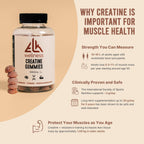enhanced workout performance creatine gummies
