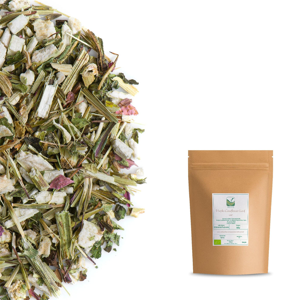 enjoy echinacea tea daily