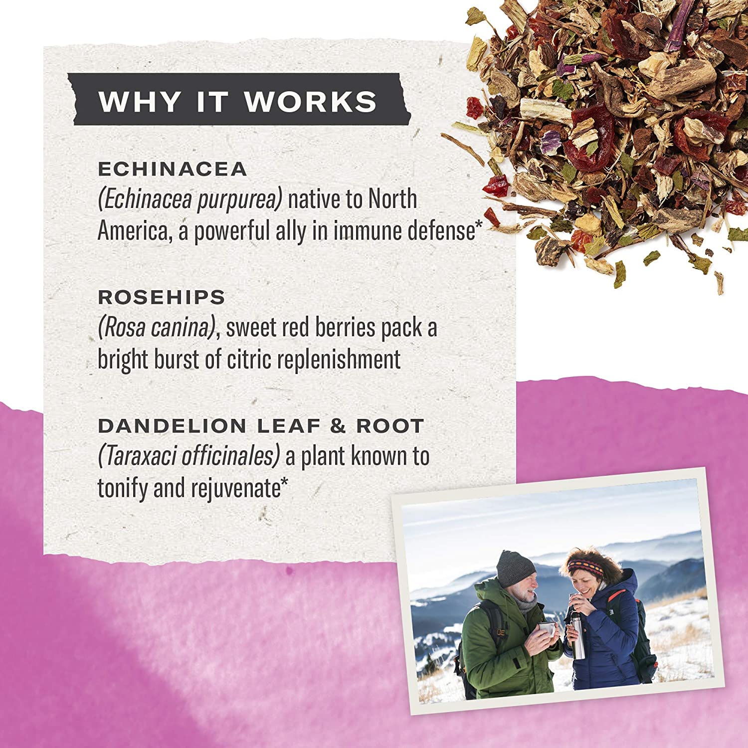 enjoy echinacea tea daily