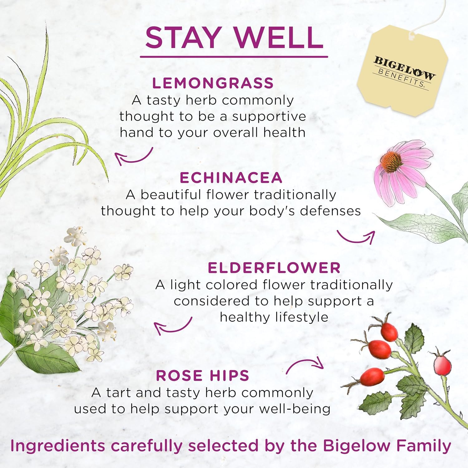 enjoy echinacea tea for throat health