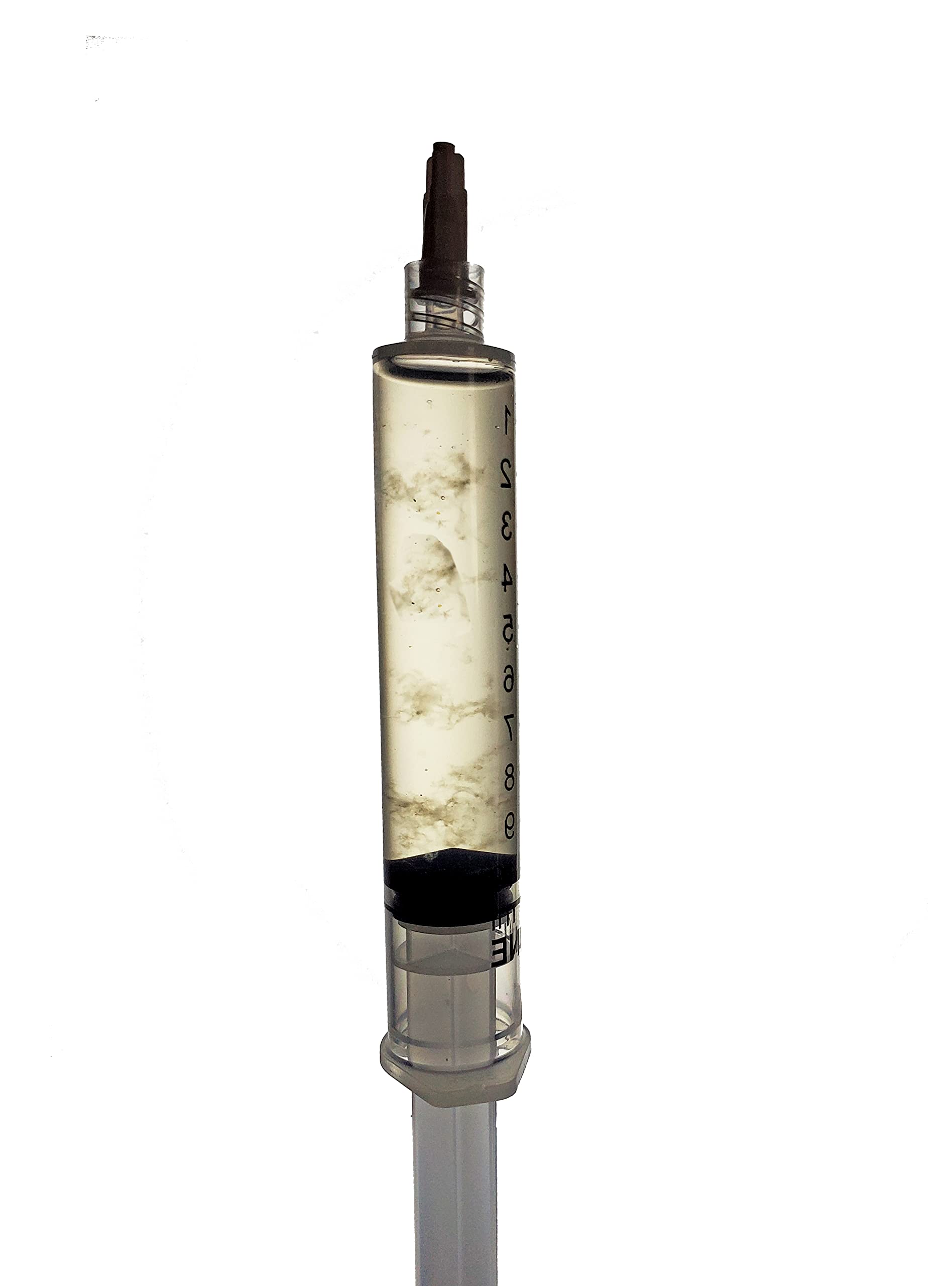 Enoki mushroom mycelium liquid culture