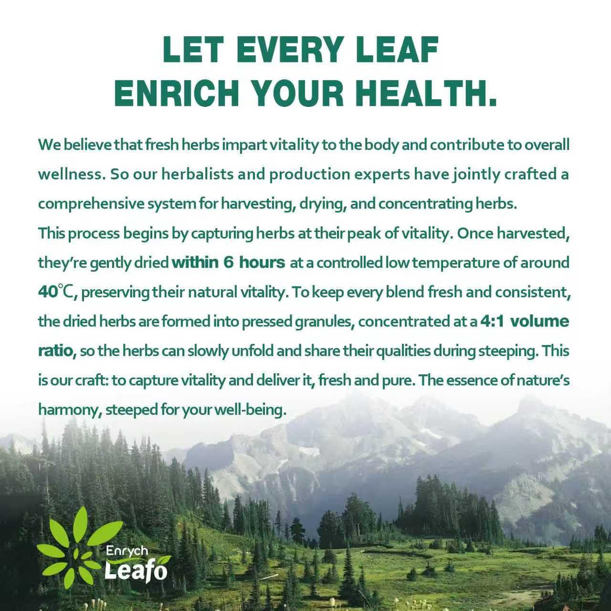EnrychLeafo echinacea root tea bags