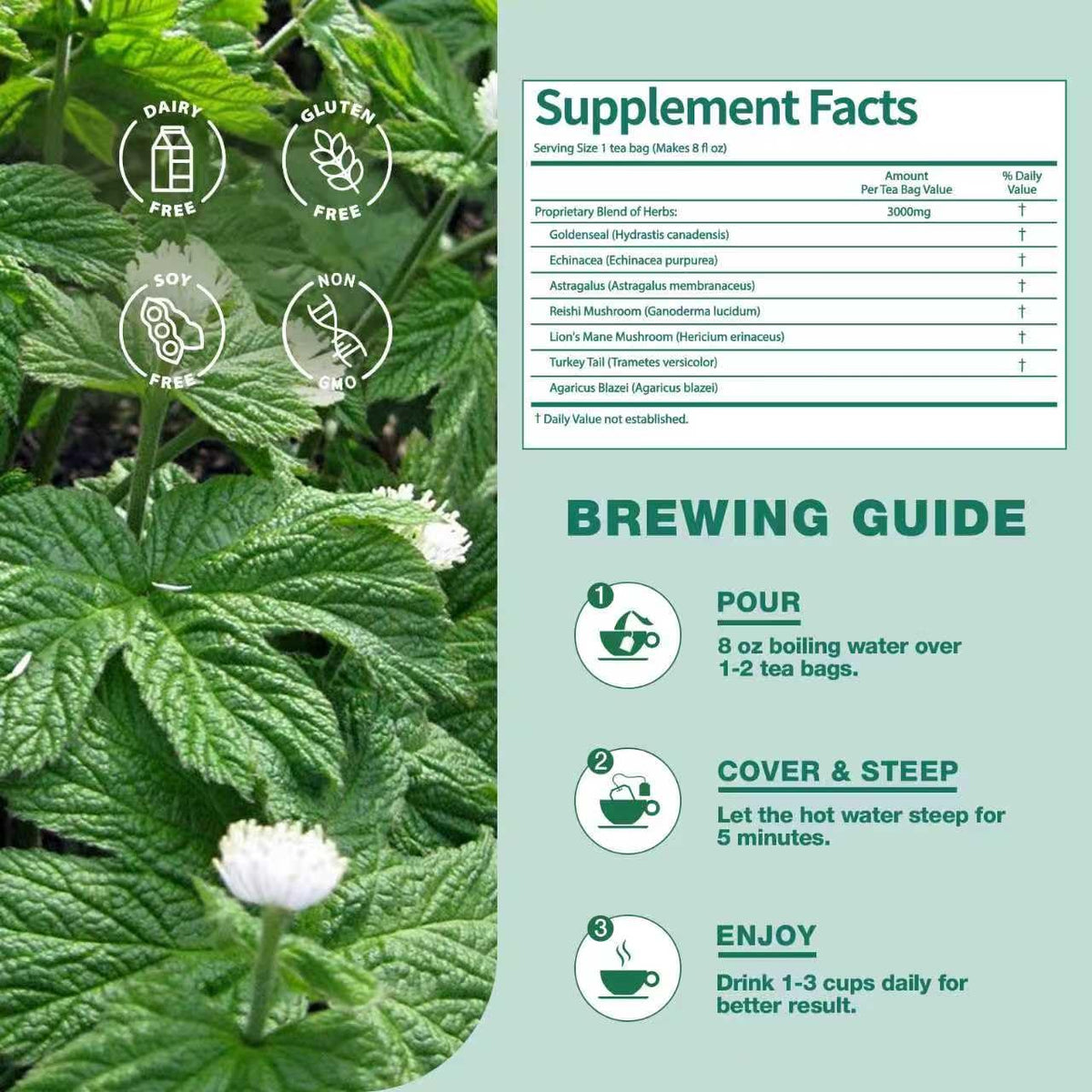 EnrychLeafo soothing herbal tea experience