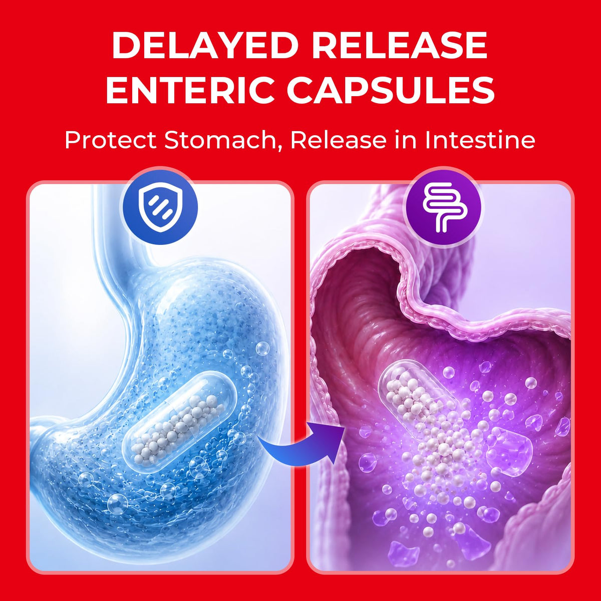 enteric coated capsules for better absorption