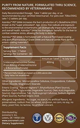 enteric coated tablets for optimal absorption