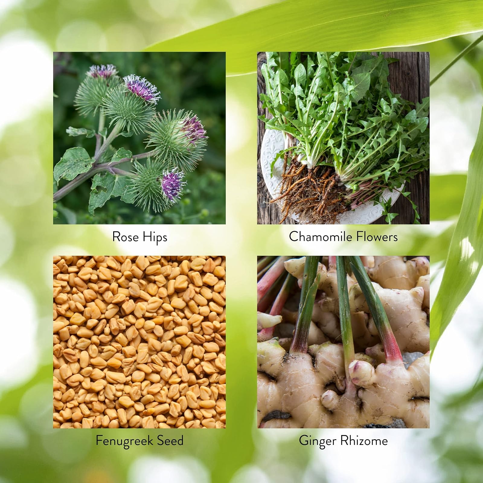 Enviro-Detox for a healthier lifestyle
