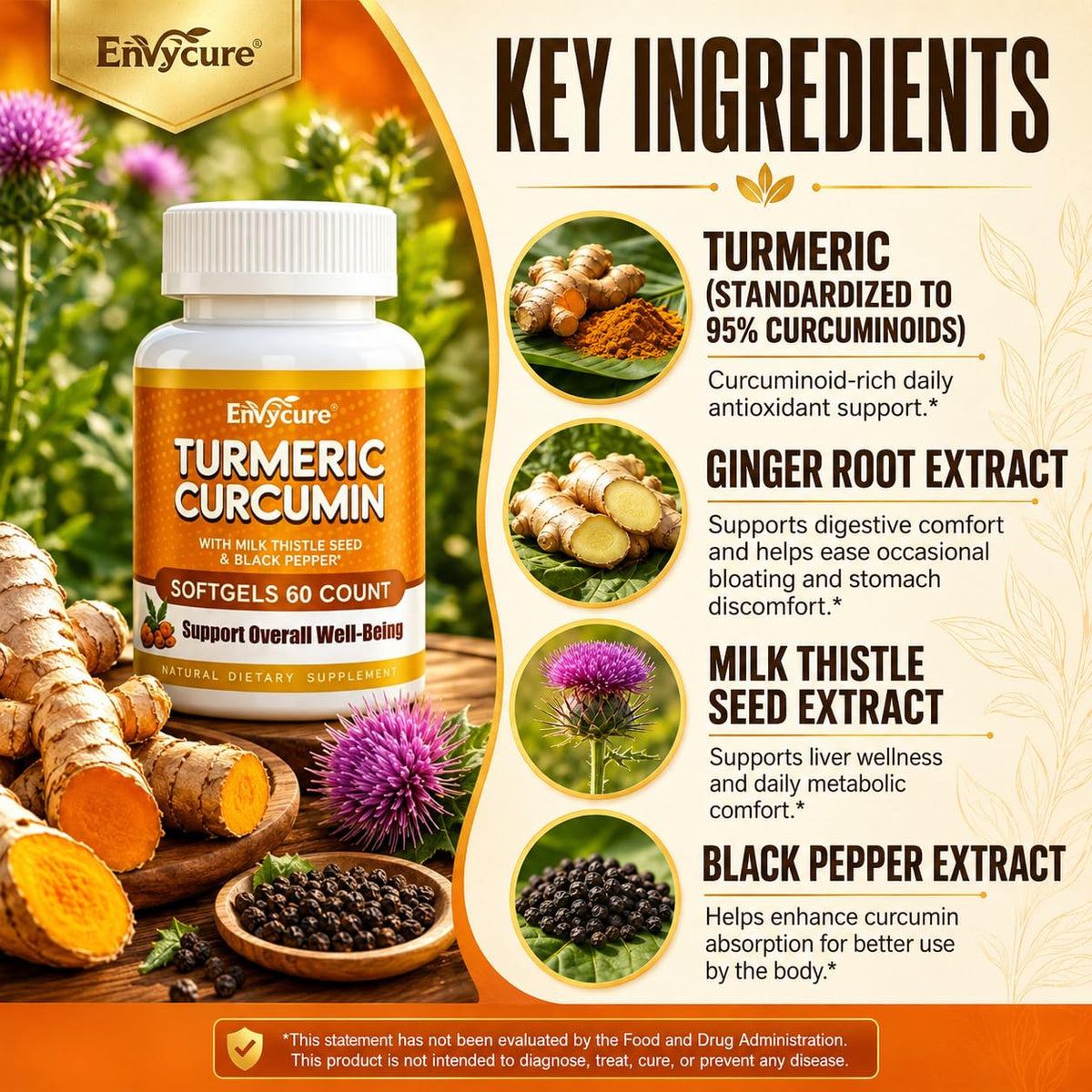 EnvyCure turmeric for joint health