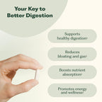 Enzyme 365 for improved nutrient absorption