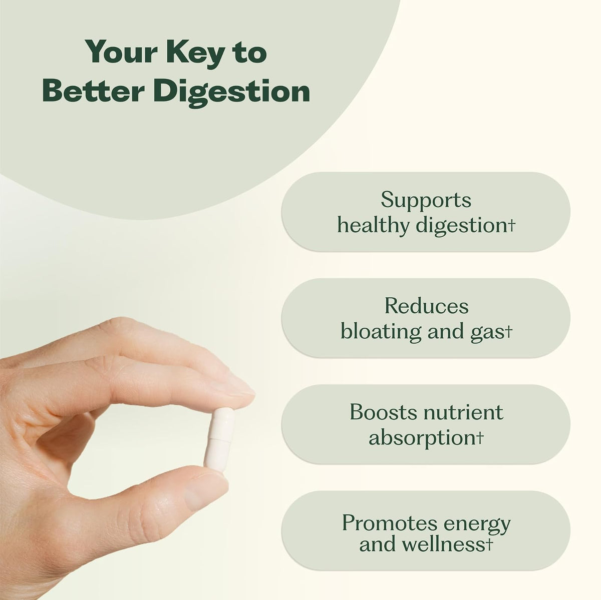 Enzyme 365 for improved nutrient absorption