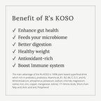 enzyme drink for daily detox routine
