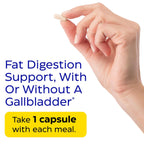 Enzymedica enzyme supplement for gut health