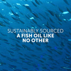 Enzymedica fish oil for daily health