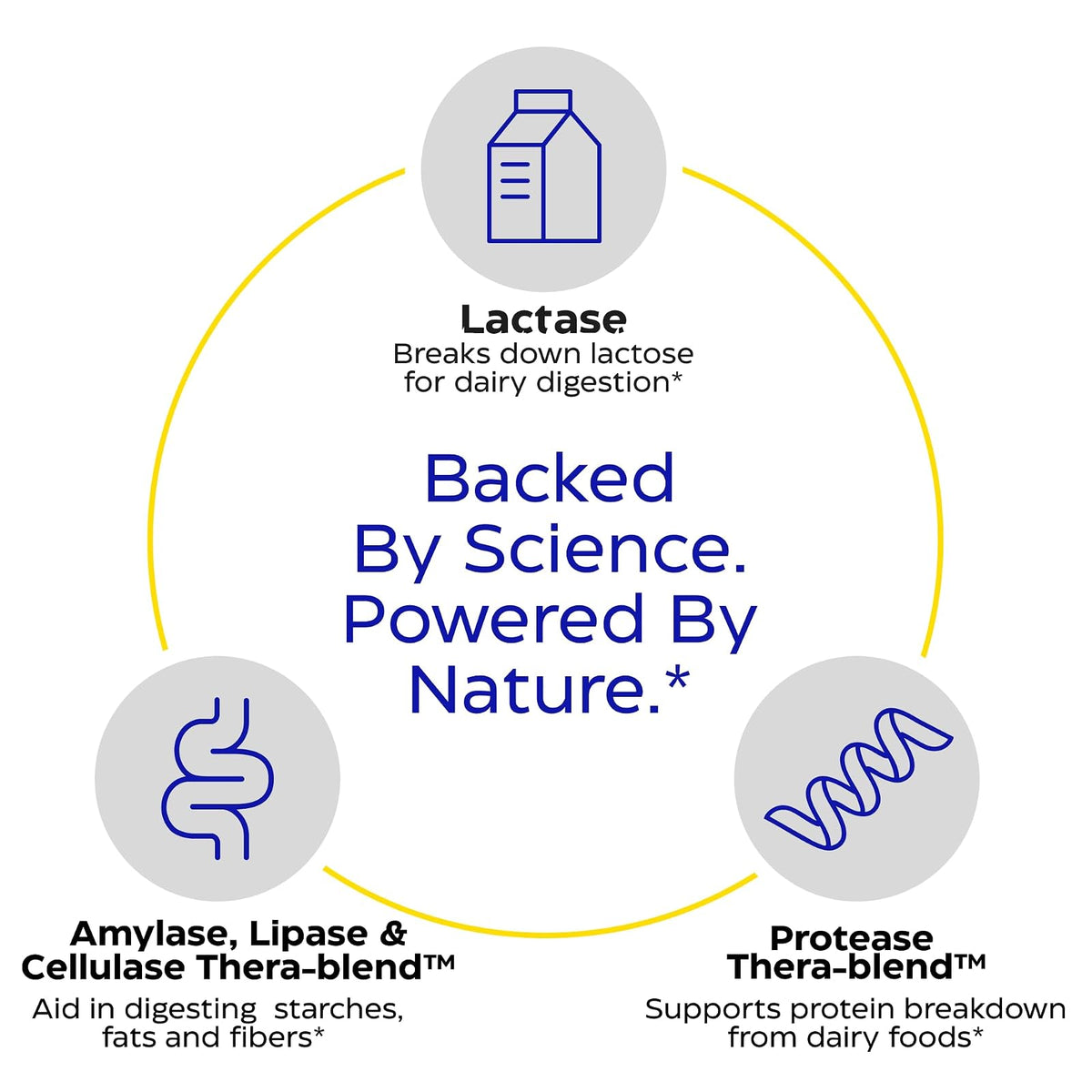 Enzymedica Lacto enzymes for dairy digestion