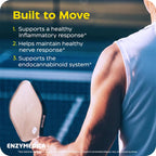 Enzymedica multivitamins for mobility