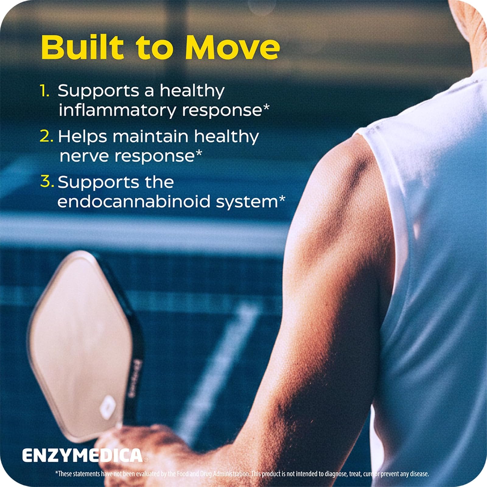 Enzymedica multivitamins for mobility