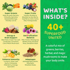 Enzymes and fiber for daily wellness