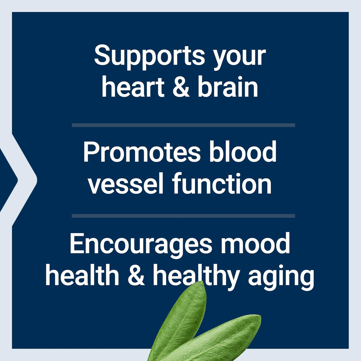 EPA DHA fish oil benefits