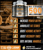 epicatechin 500 mg for muscle support